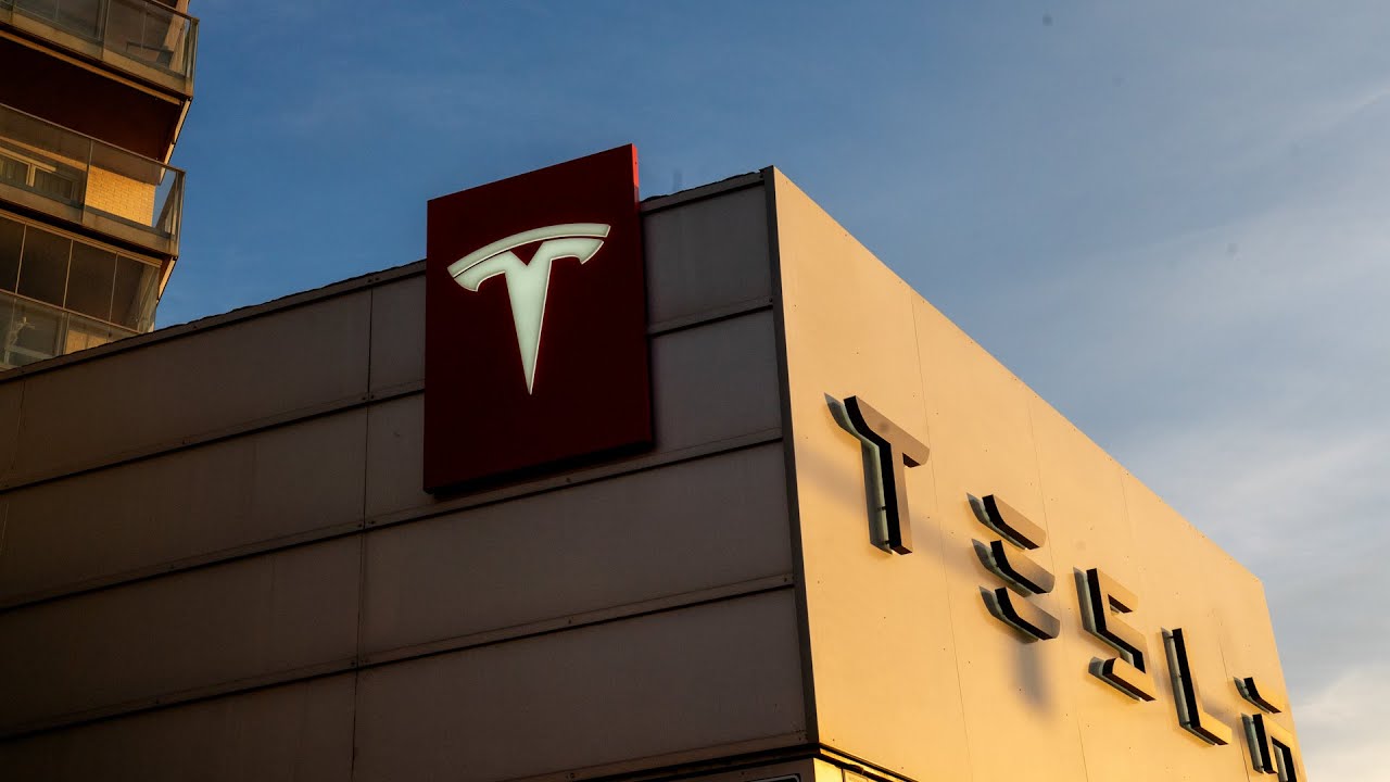 Tesla Retail Investor Shrugs Off Impact of Brand Damage - YouTube