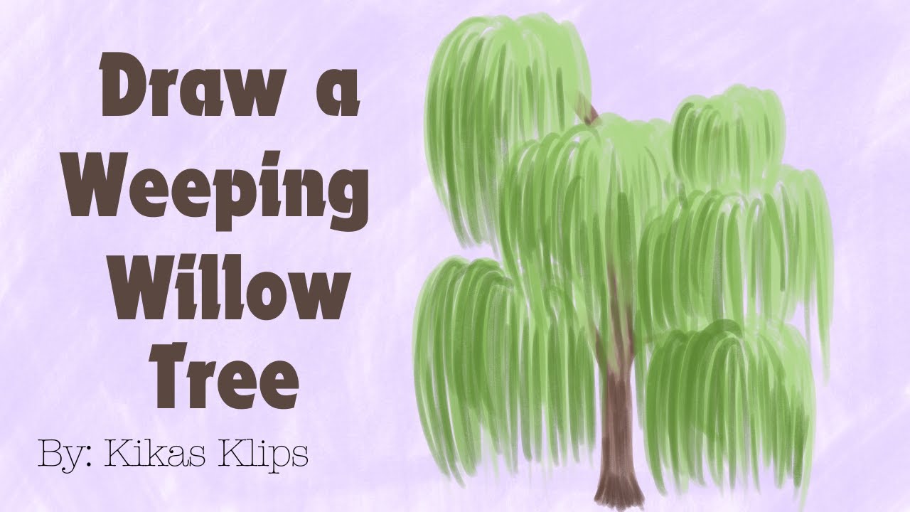 How to Draw a Weeping Willow Tree with Alcohol Markers ~ Procreate Tree ...