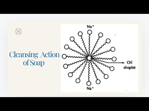 Soaps And Detergents //Cleansing Action of Soap - YouTube