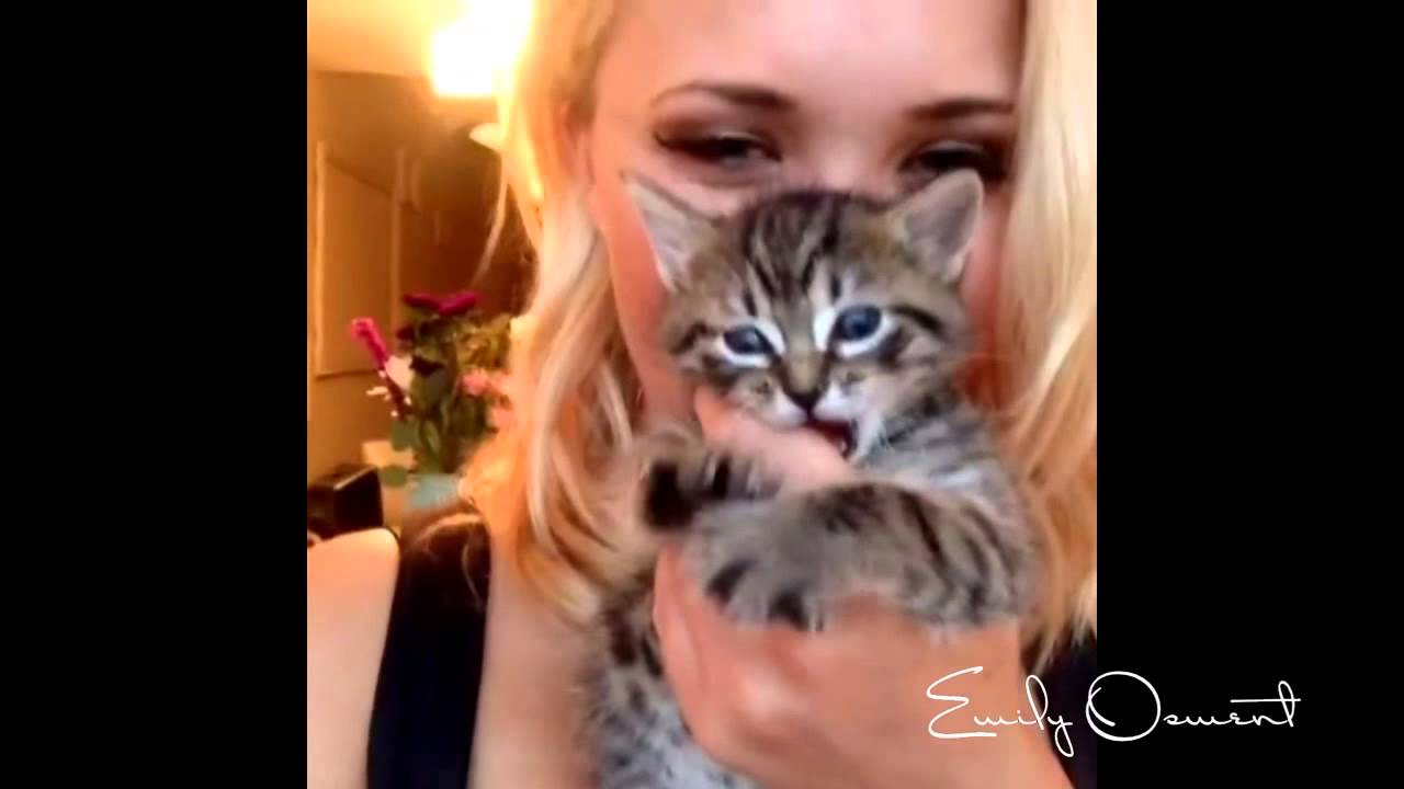 Emily Osment Vine - Kitty plays imaginary piano (NEW VIDEO) - YouTube