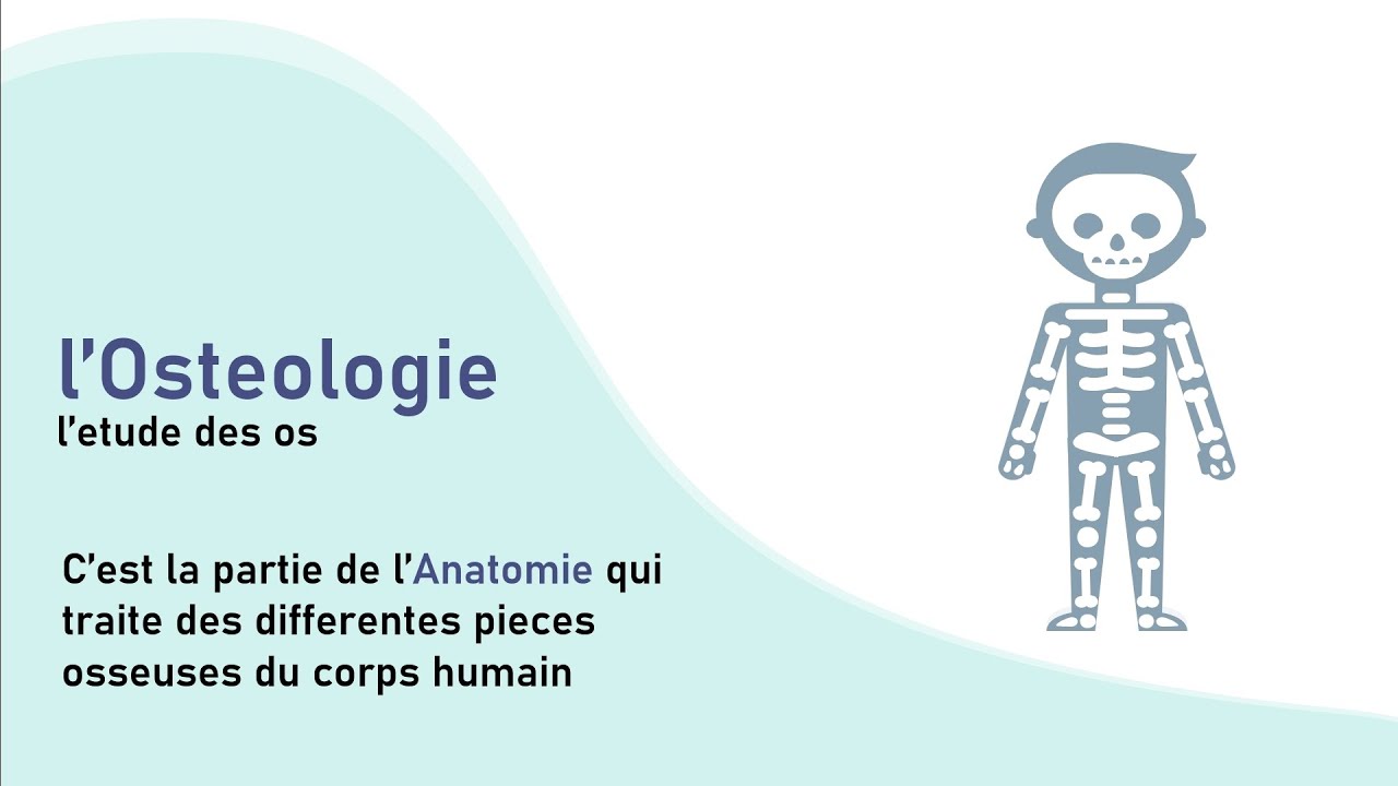 DrSkeleton | Introduction à l'Osteologie humaine - YouTube