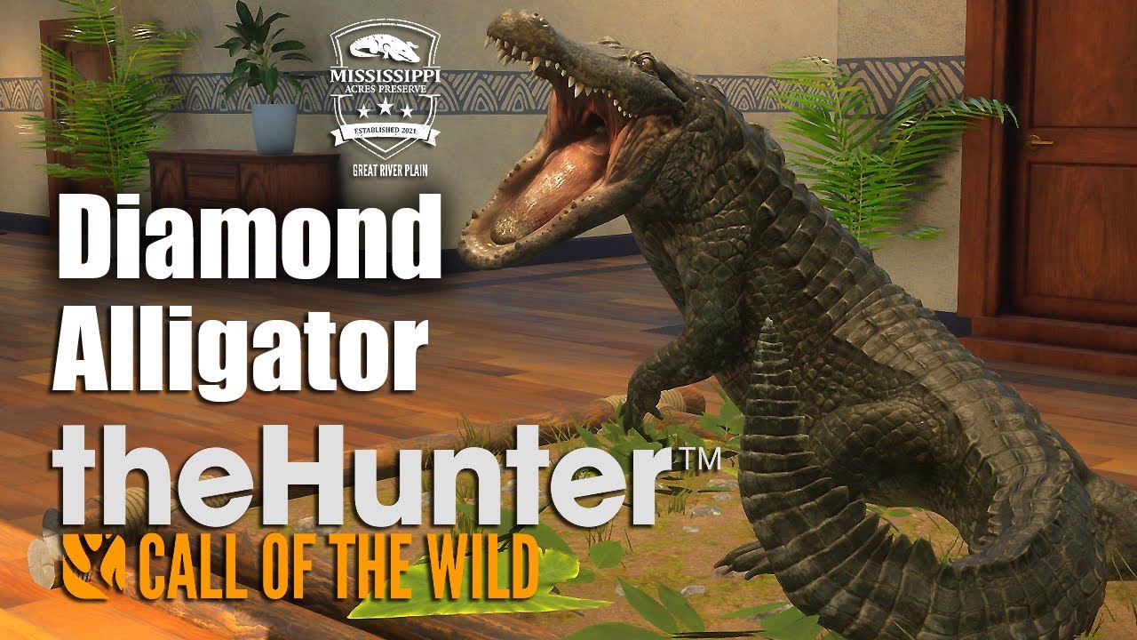 Diamond Alligator At Mississippi Acres Preserve - YouTube