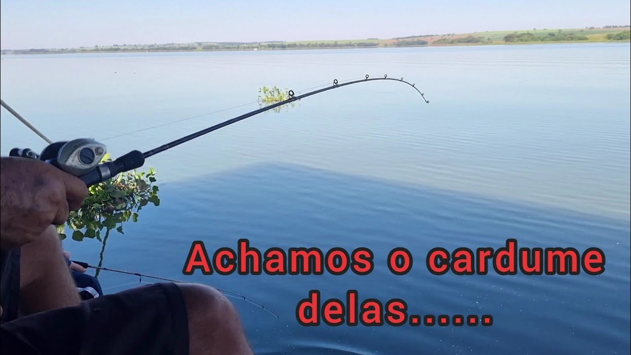 Pescaria no Rio Grande,muitas corvinas e muita resenha... - YouTube