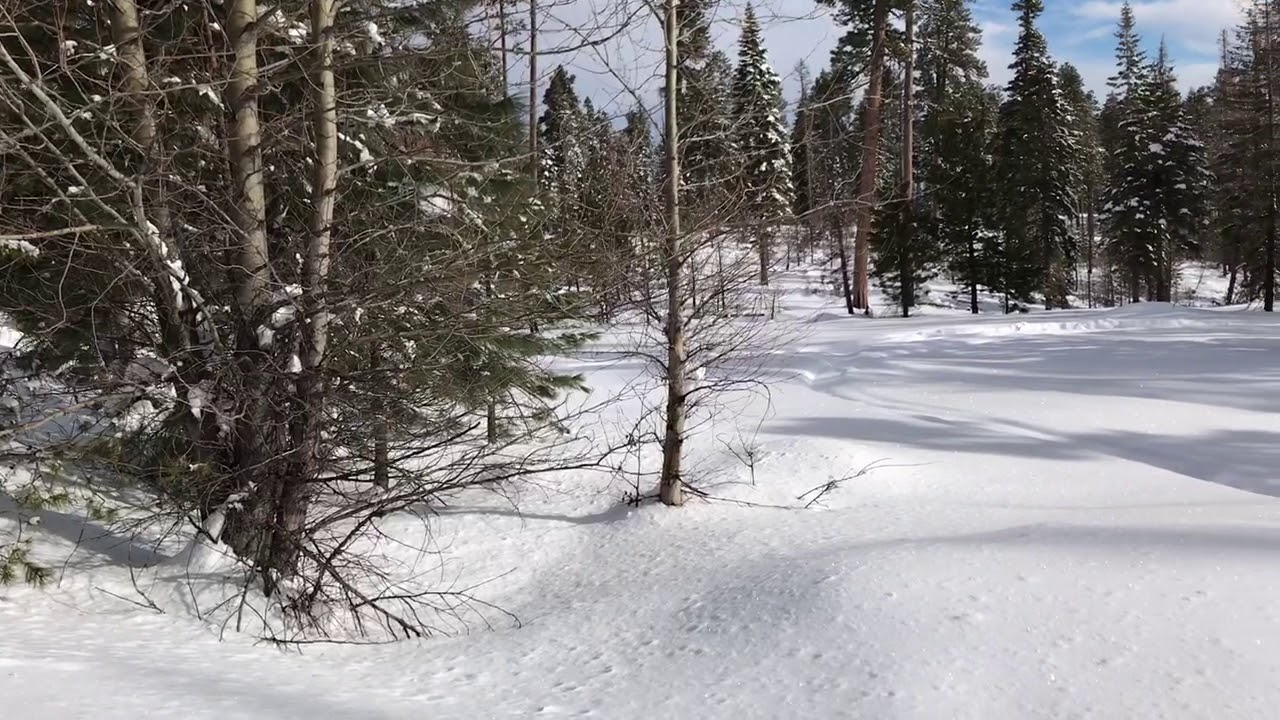 2018 Dufur Oregon Billy Bob Sno-Park Camp Baldwin Area - YouTube