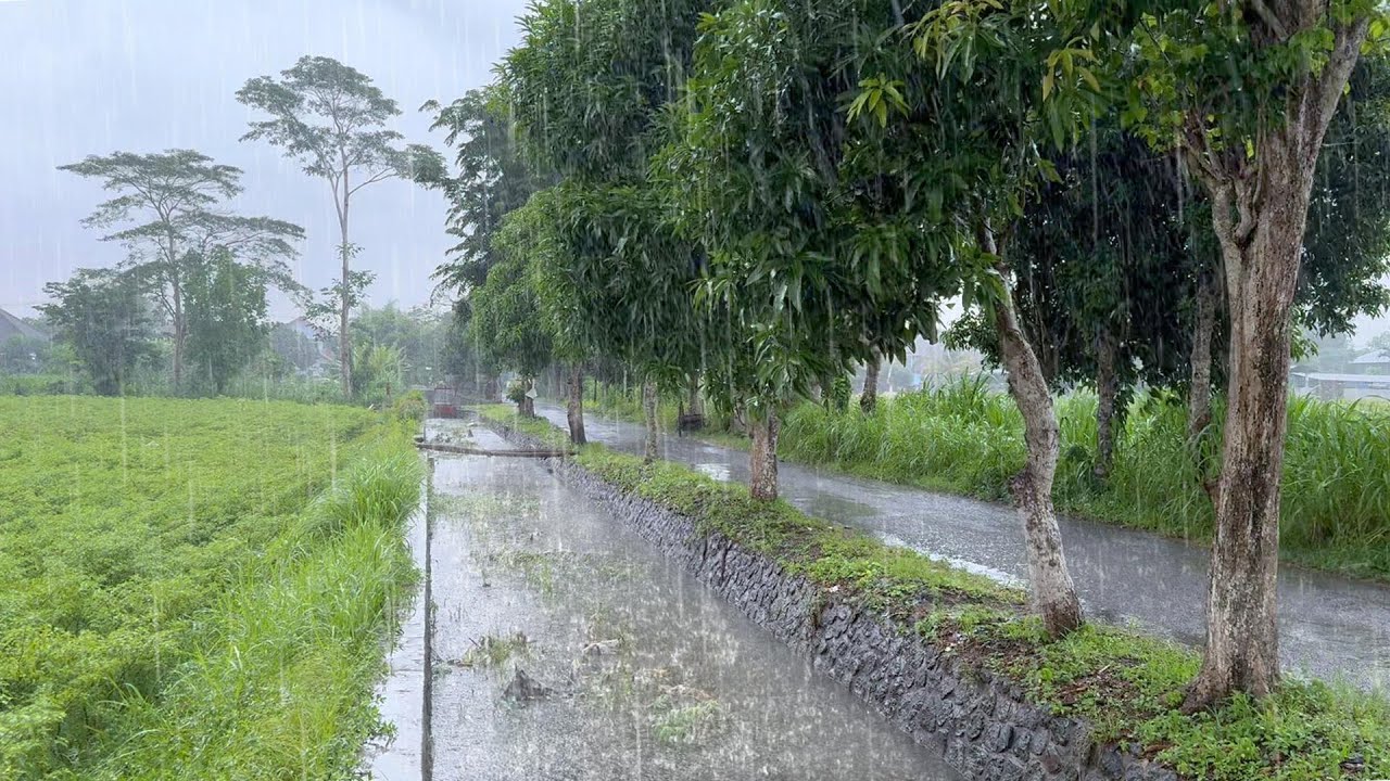 Relaxing Sounds of Rain in a Rural Village - Rain Sound For Sleeping ...