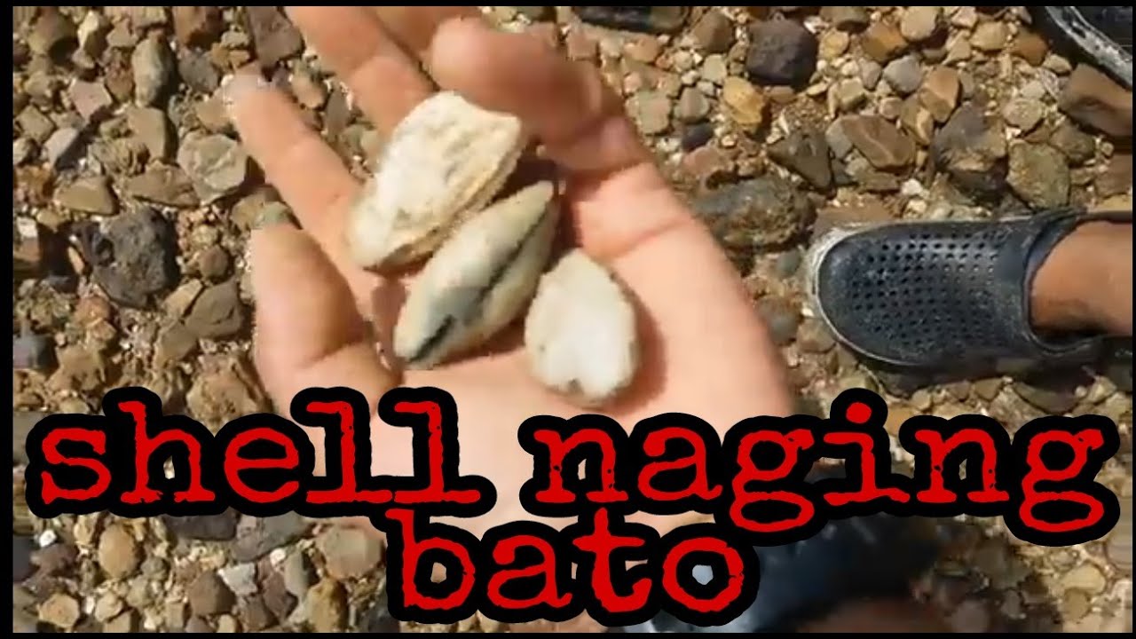 SHELL NAGING BATO - YouTube