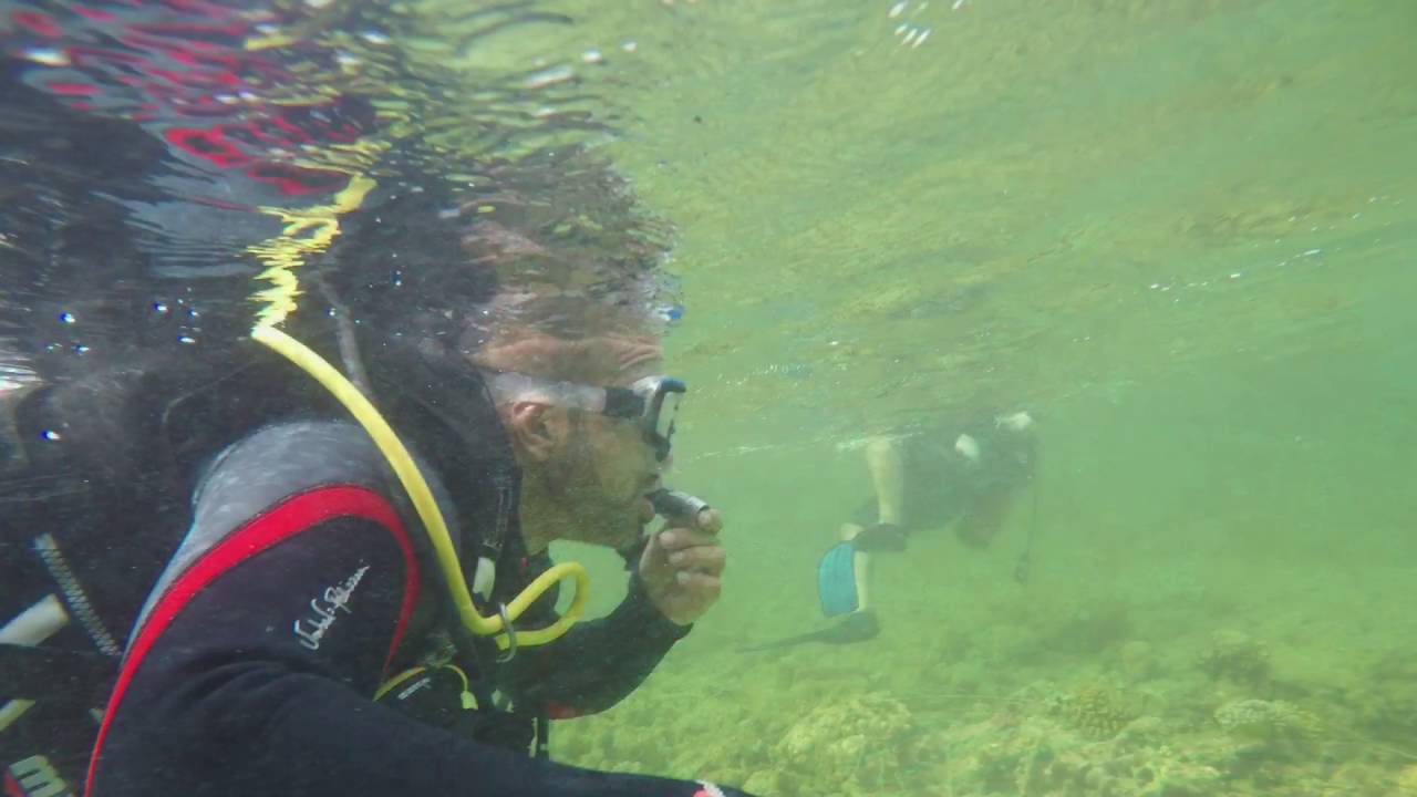 Magna - Tabuk - YouTube