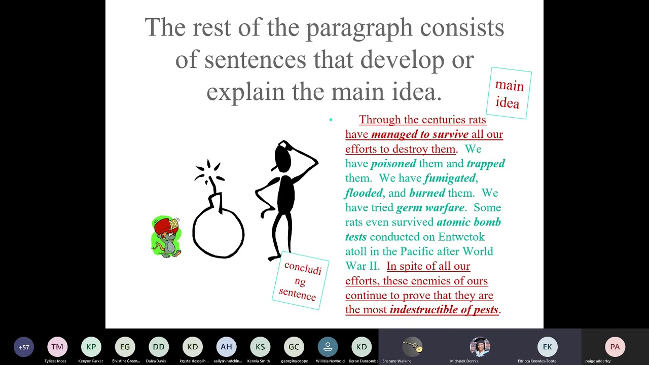 Grade 11 - Paragraph Structure - YouTube