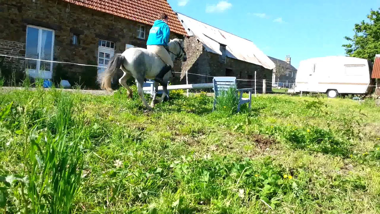 Getting Bucked Off An 11hh Pony - YouTube