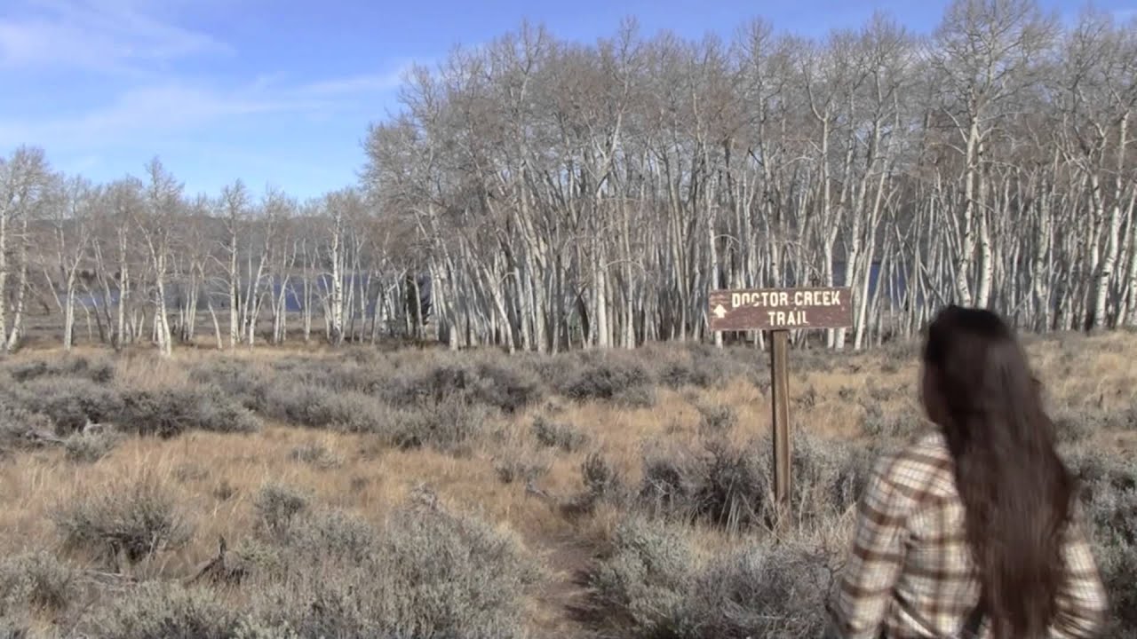 The Smith's Explore... Pando and Fish Lake - YouTube