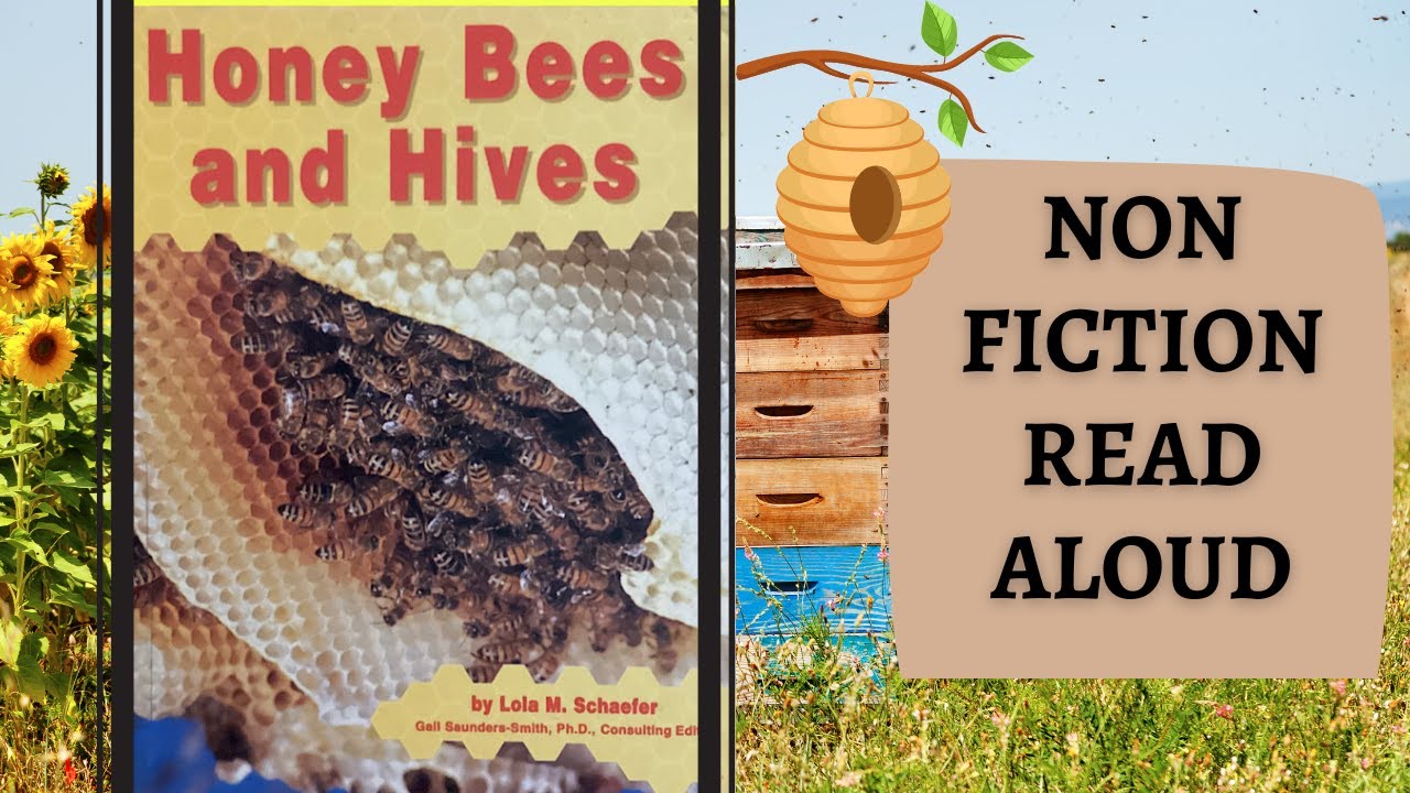 Honey Bees and Hives | Kids Book Read Aloud | Non Fiction Books - YouTube