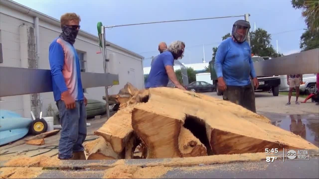 Local wood craftsman seeks to transform downed Banyan tree after its ...