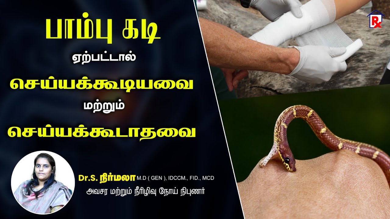 Snake Bite First aid In Tamil snake-bite-first-aid-in-tamil