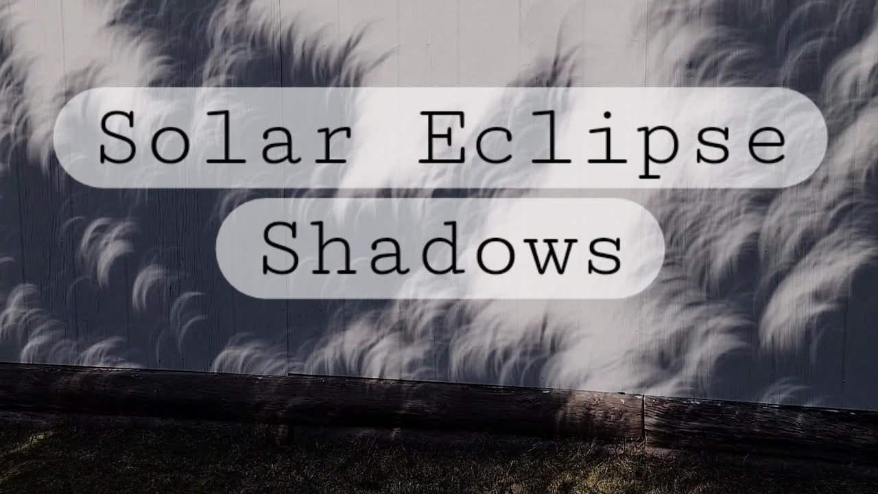 Pinhole Solar Eclipse Shadows (Via Trees) (at 94.4%) - YouTube