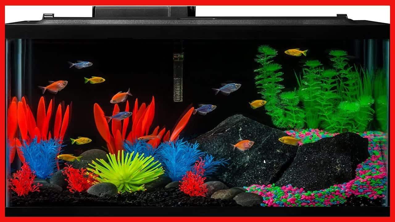 GloFish 20 Gallon Aquarium Kit with LED Lights, Decor Heater and Filter ...