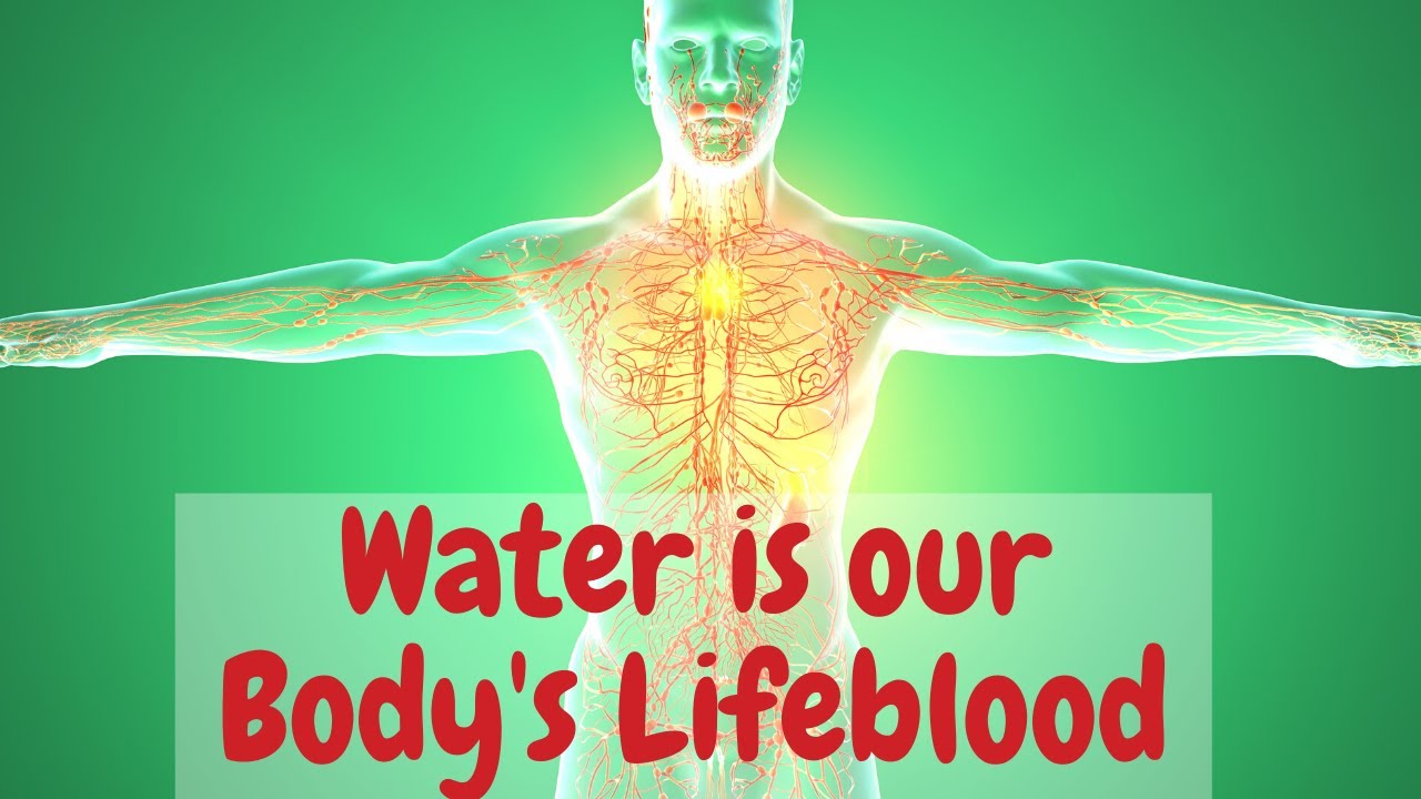 Water is the lifeblood of your body! Just how important is it? - YouTube