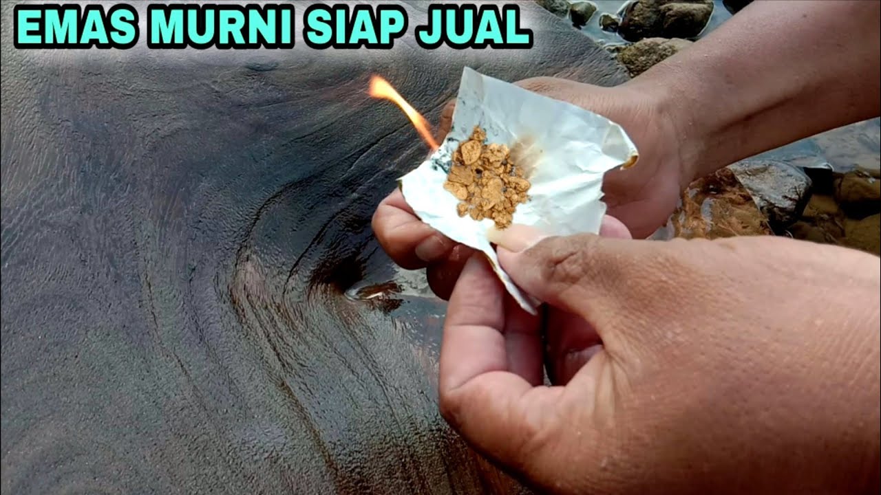 PROSES PEMBAKARAN EMAS HASIL MENDULANG//SIAP JUAL.!! - YouTube