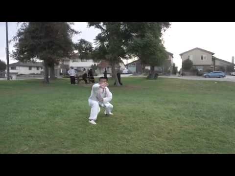 Bagua: Turning Body Palm (Yin-Yang Fish)