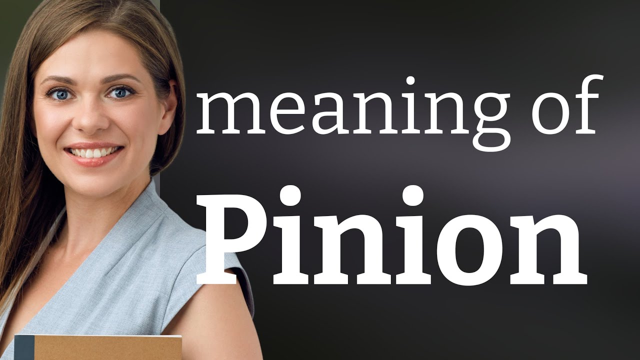 Pinion • PINION meaning - YouTube
