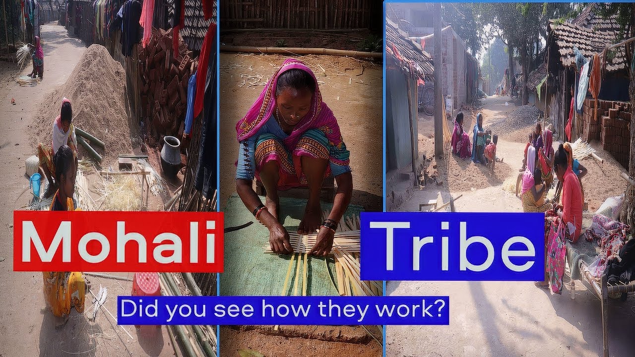 Did you know Mahali tribe's, if know look this , झारखण्ड के आदिवासियों ...