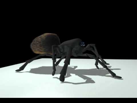 Tarantula Walk Cycle - YouTube