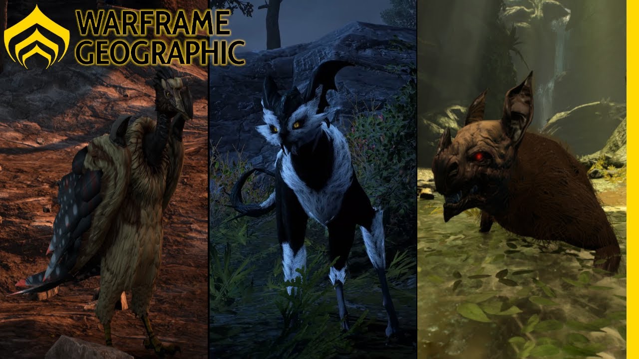Warframe Geographic | Animals of Earth - YouTube