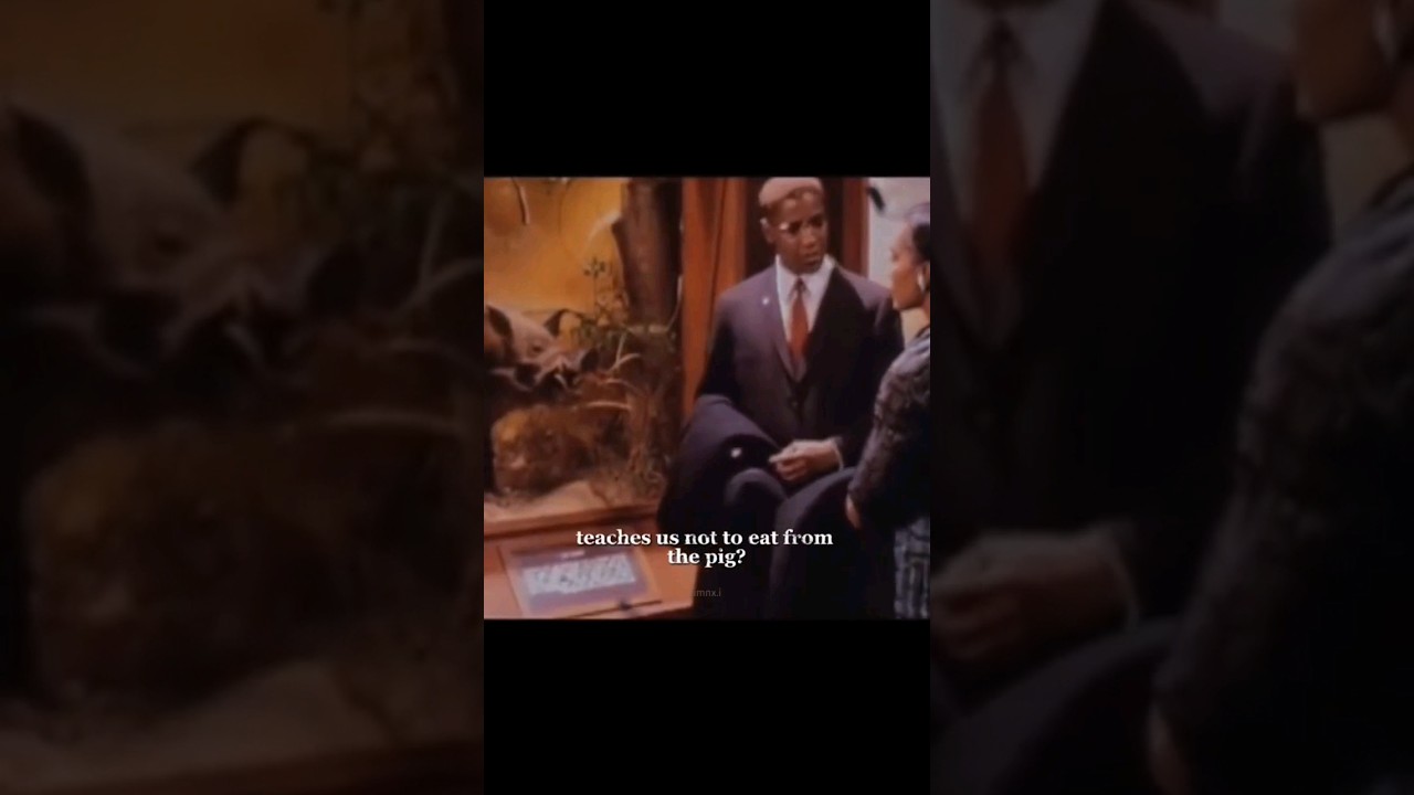 Reason Why Pig Is Prohibited In Islam YouTube reason-why-pig-is-prohibited-in-islam-youtube