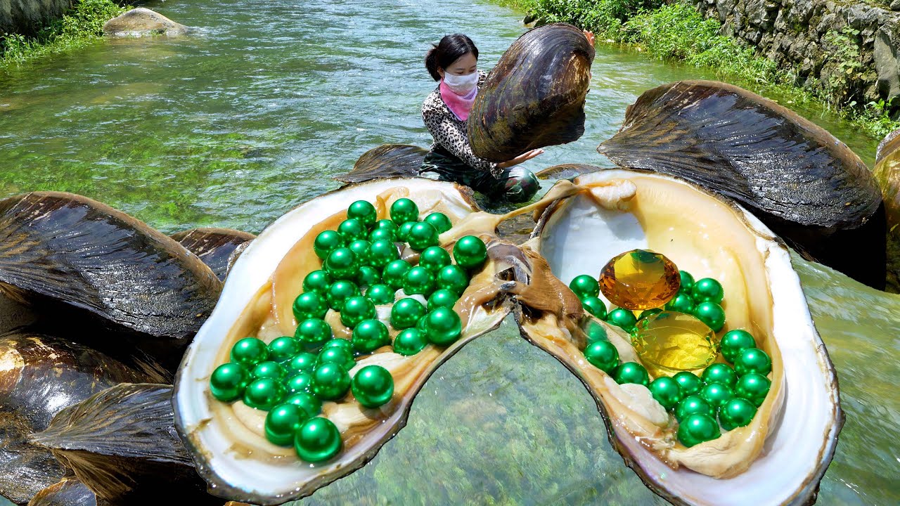 😱The girl pried open the giant clam, which bore countless charming ...