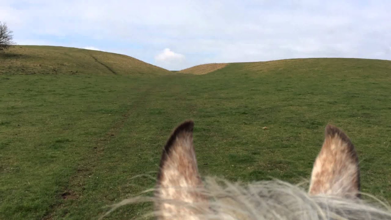 Chaddy Bear - YouTube