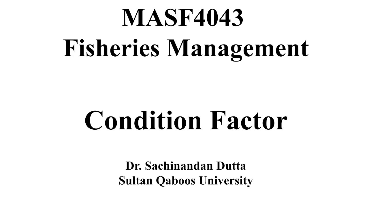Condition Factor of Fish - YouTube