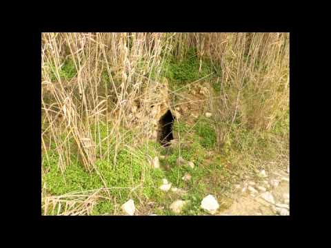 ΠΣ ΑΓΙΩΝ ΠΑΡΑΣΚΙΩΝ ΚΥΝΗΓΙ ΚΡΥΜΜΕΝΟΥ ΘΗΣΑΥΡΟΥ 2015 - YouTube