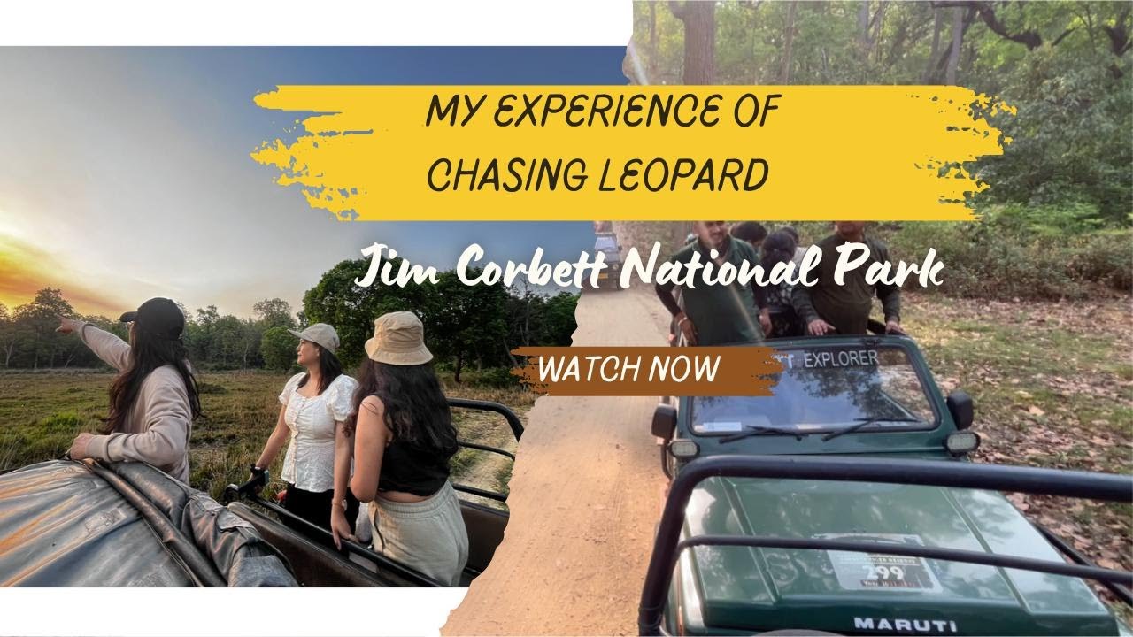 My experience of chasing Leopard in Jim Corbett National Park in ...