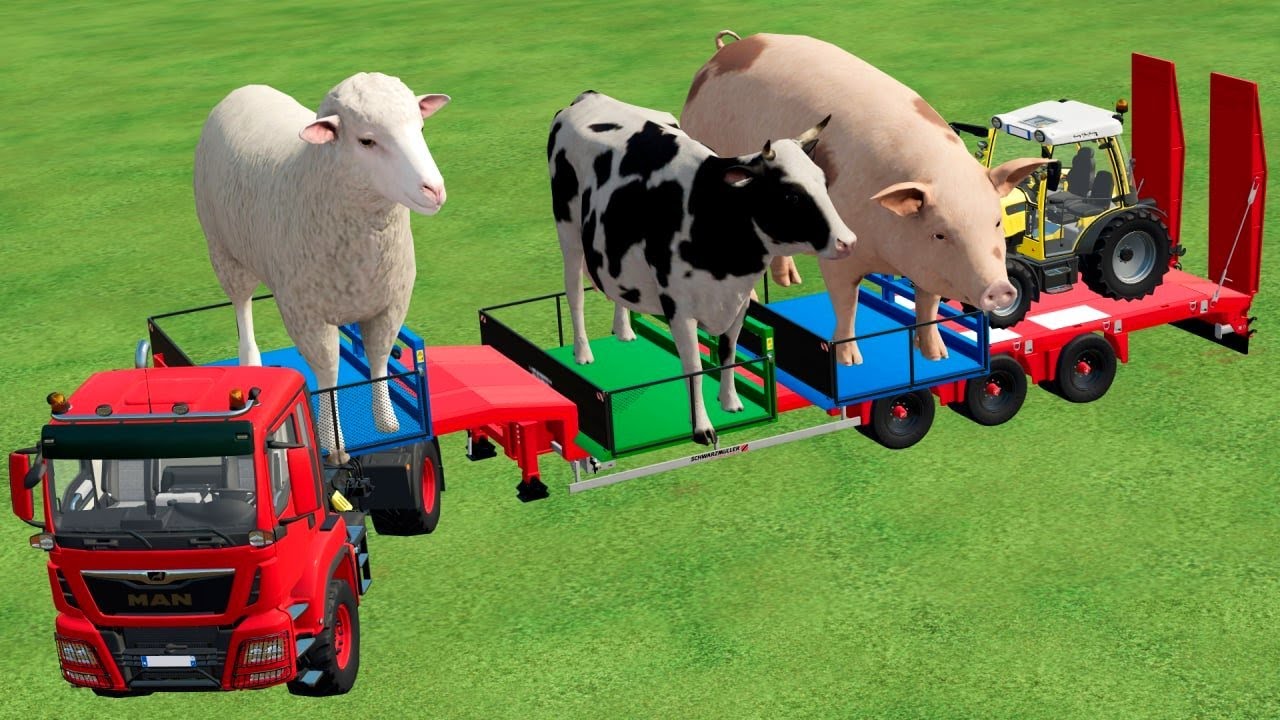 TRANSPORTING GIANT SHEEPS, COWS & PIGS ON LOADER WITH VOLVO TRUCK ...