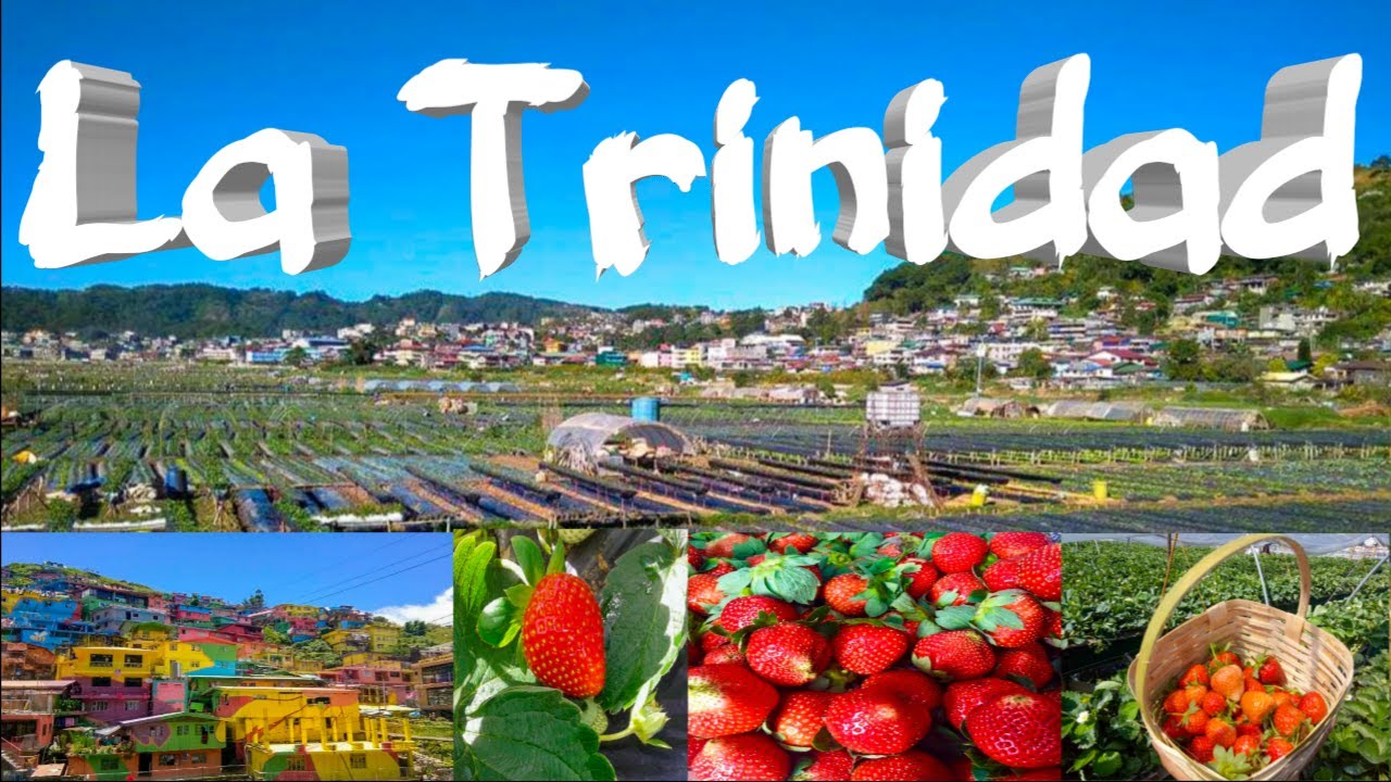 LA TRINIDAD | Strawberry Farm | Benguet, Philippines - YouTube