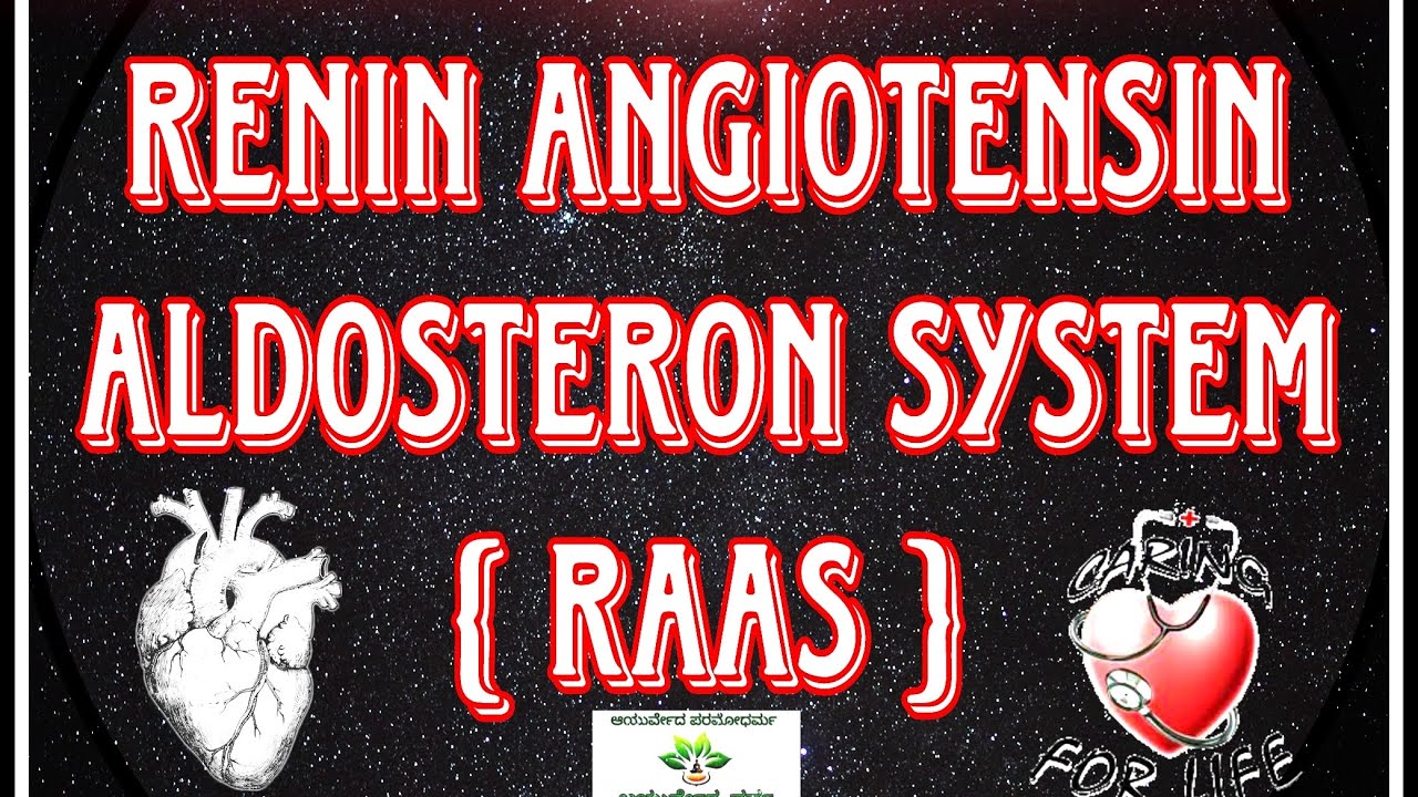 RENIN ANGIOTENSIN ALDOSTERON SYSTEM {RAAS} #bloodpressure #RAAS # ...