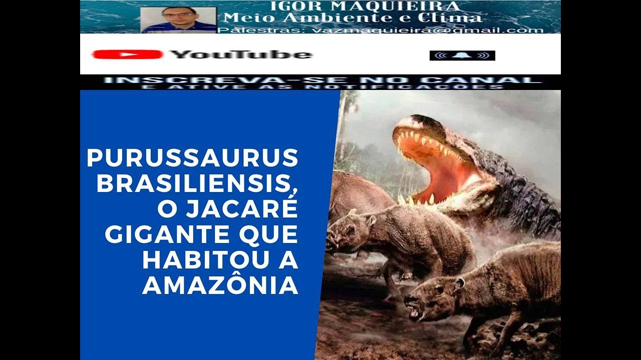 O jacaré gigante que habitou a Amazônia: Purussaurus brasiliensis - YouTube