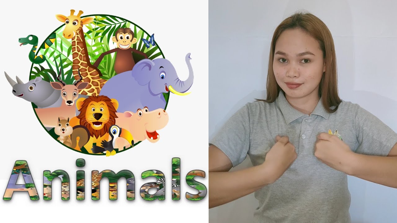 ASL: How to Sign Animals (With Caption) - YouTube