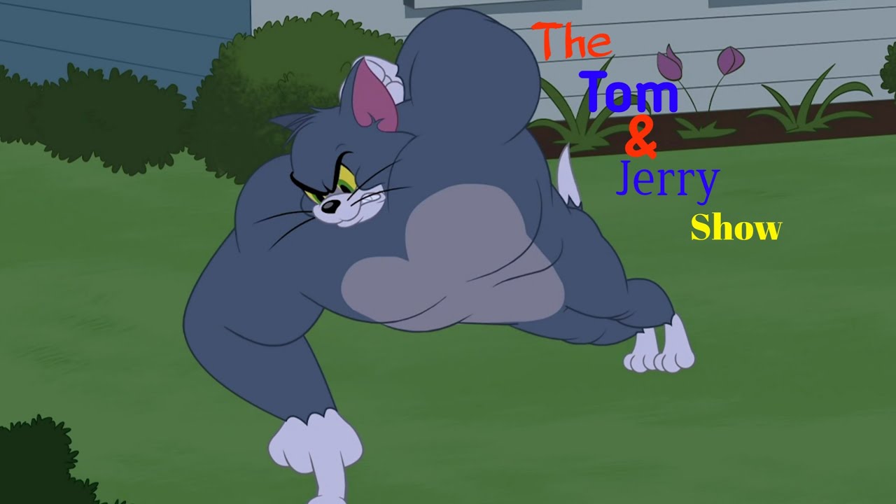 The Tom and Jerry show ! Tom the Gym Cat - YouTube