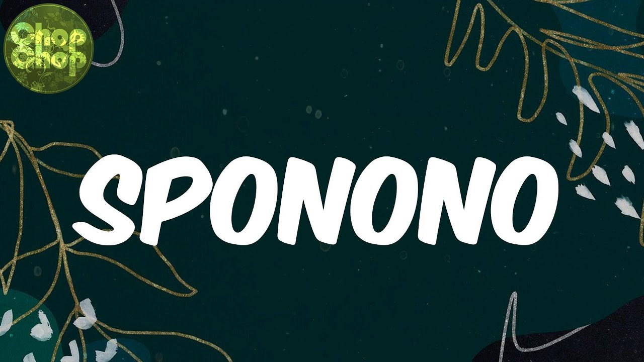 Kabza De Small - Sponono (lyrics) - YouTube