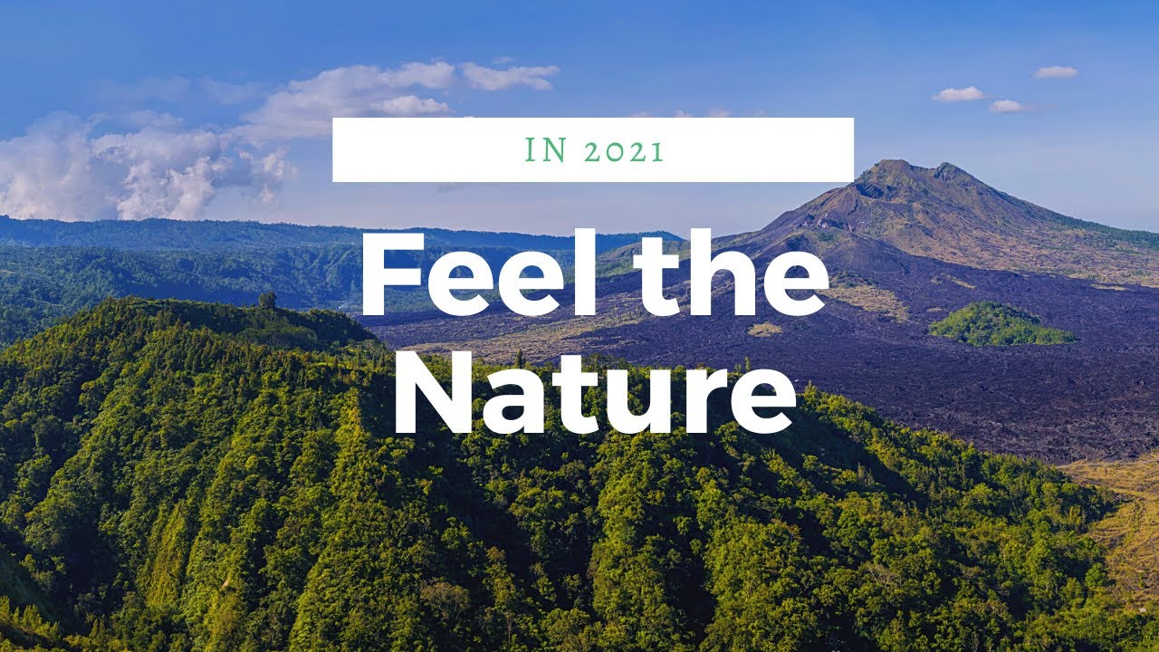 Feel the Beautiful Nature with nature-walk Relaxing Music and adding ...