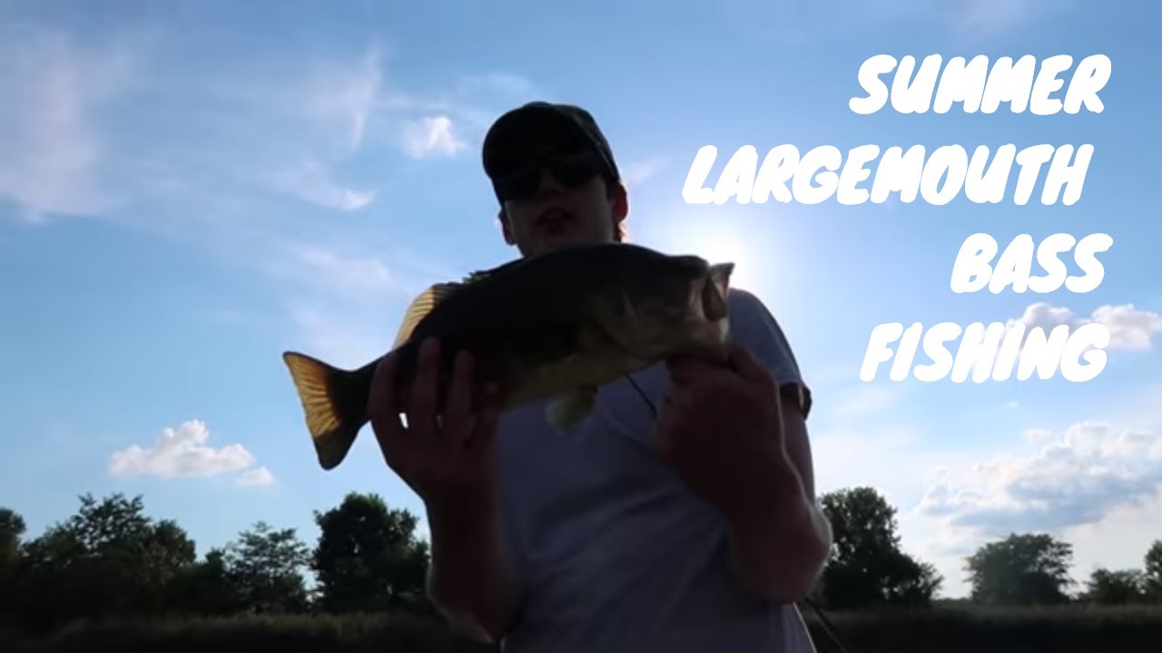 Summer largemouth bass fishing at Banner Marsh Illinois - YouTube