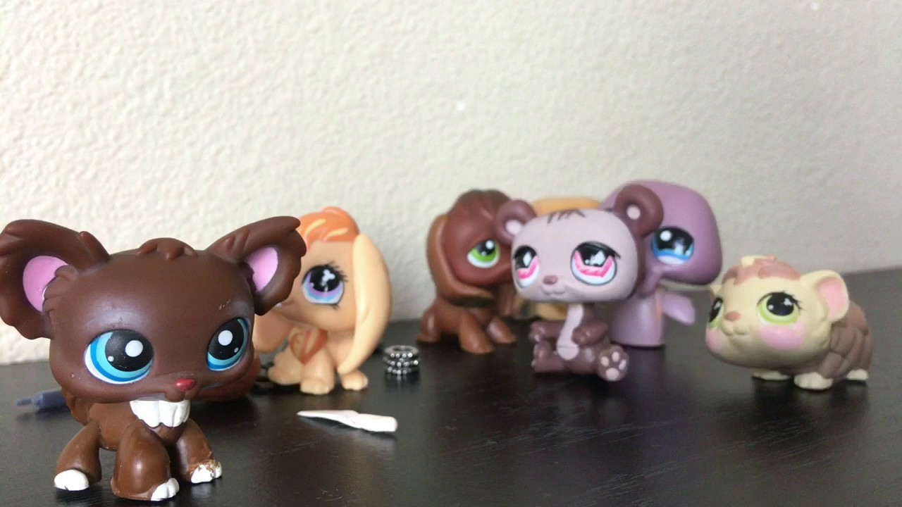 LPS: Comments Section IRL (Inspired by LPS Honey) - YouTube