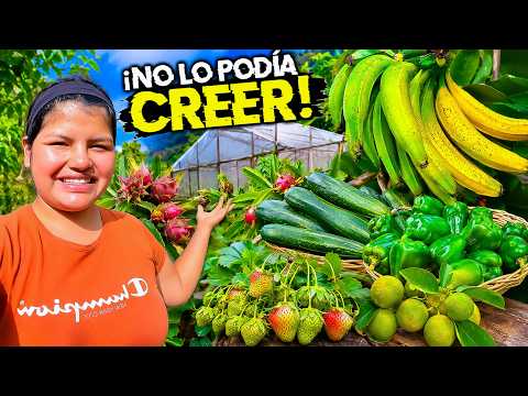 Volví a mi finca después de mucho tiempo… ¡No esperaba encontrar todo así!- NATHALIA
