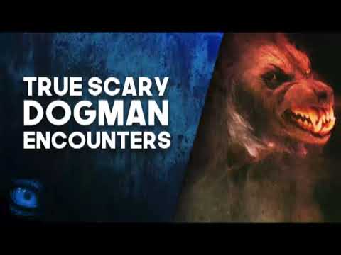 13 SCARY DOGMAN ENCOUNTERS - CHILLING TRUE DOGMAN SIGHTINGS - YouTube
