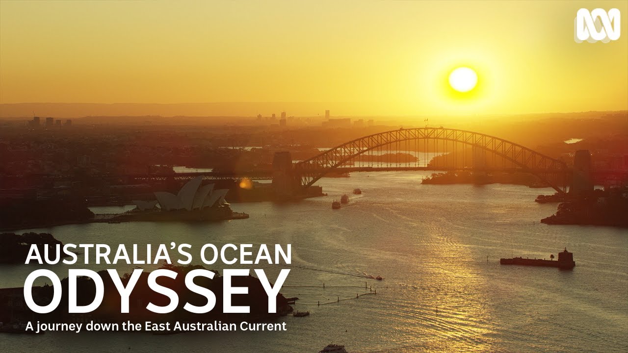 Float above the East Australian Current (5 minute calming sounds ...