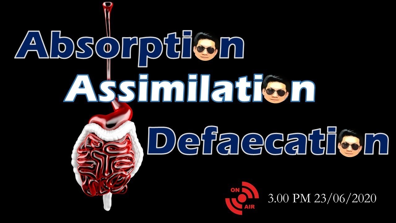 ABSORPTION, ASSIMILATION AND DEFAECATION - YouTube