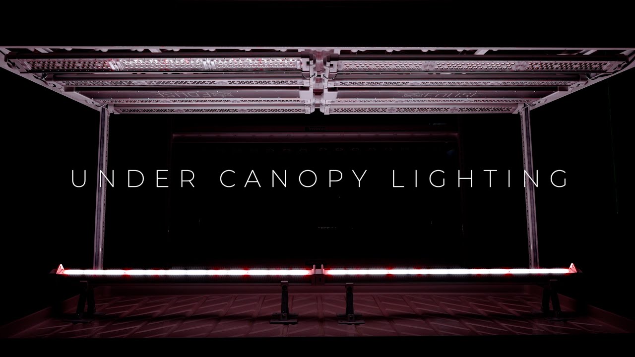 UNDER CANOPY LIGHTING BY FOHSE - YouTube