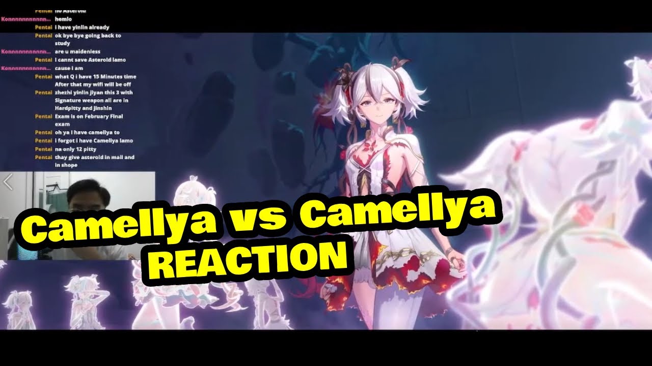 Camellya vs Camellya REACTION! Camellya story companion quest ...