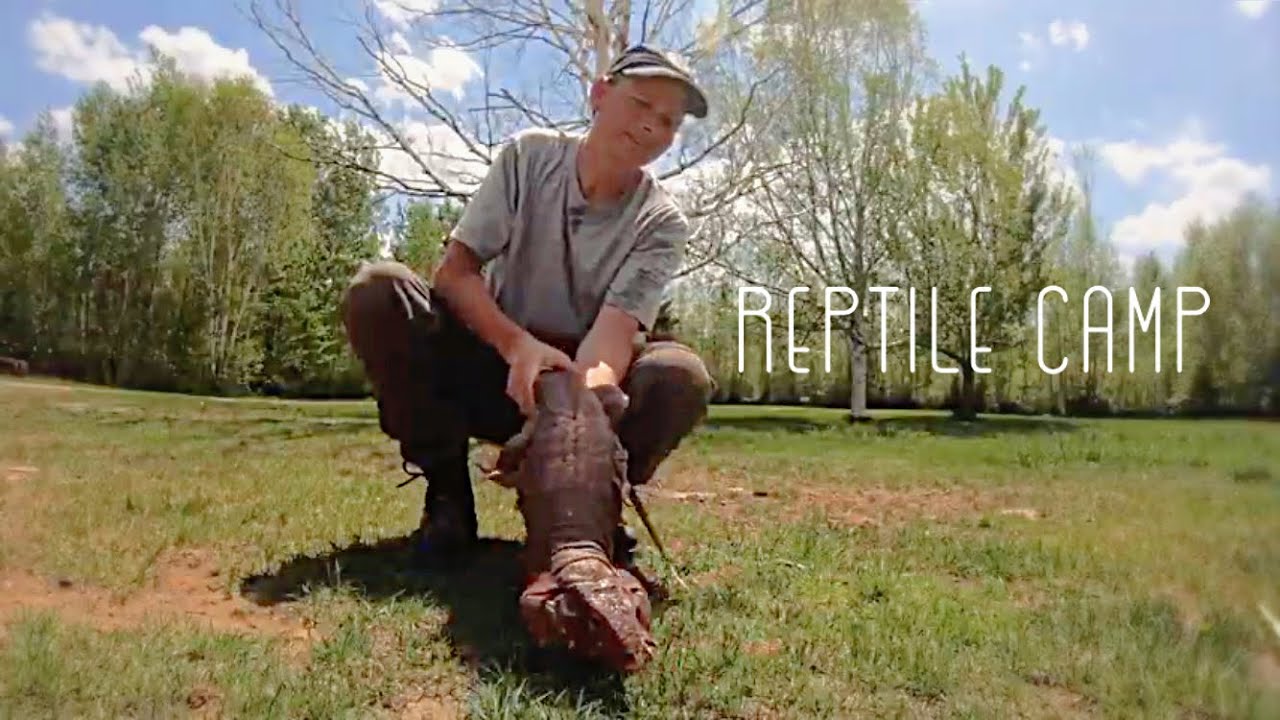 I visited a Reptile Camp! Safari Arie - On The Road - YouTube