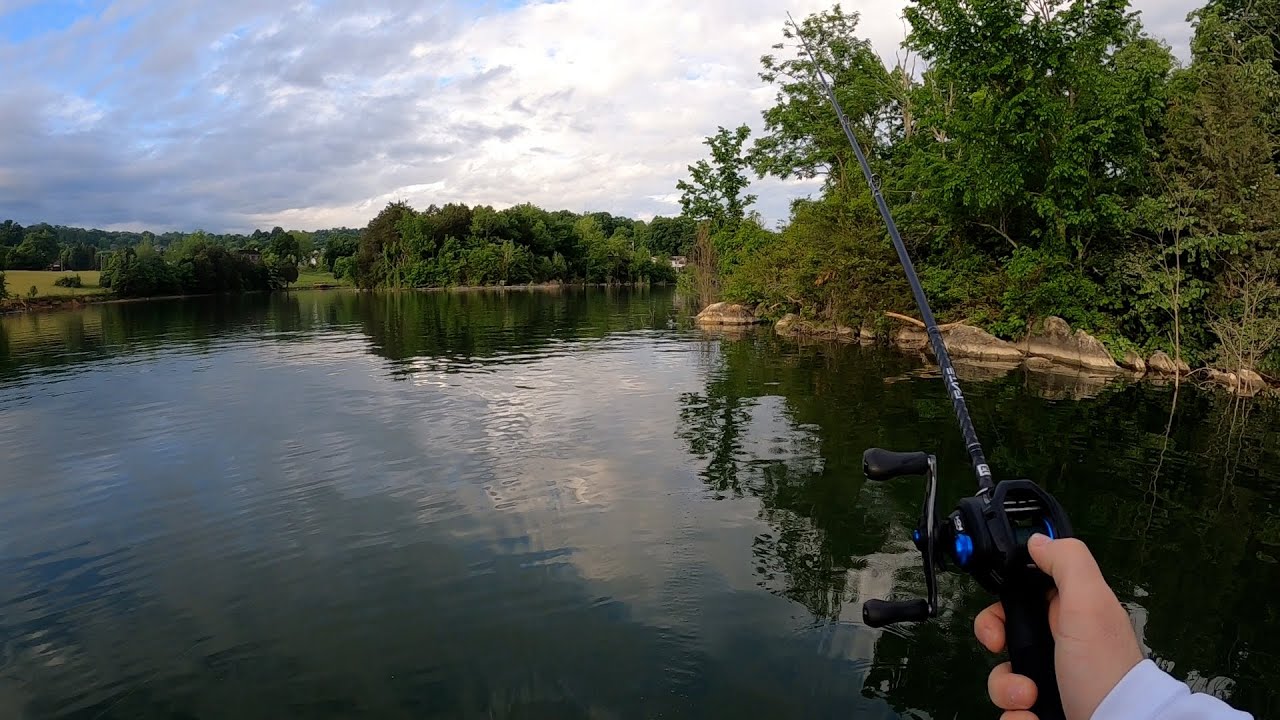 A Solid day of Fishing on Boone Lake - YouTube